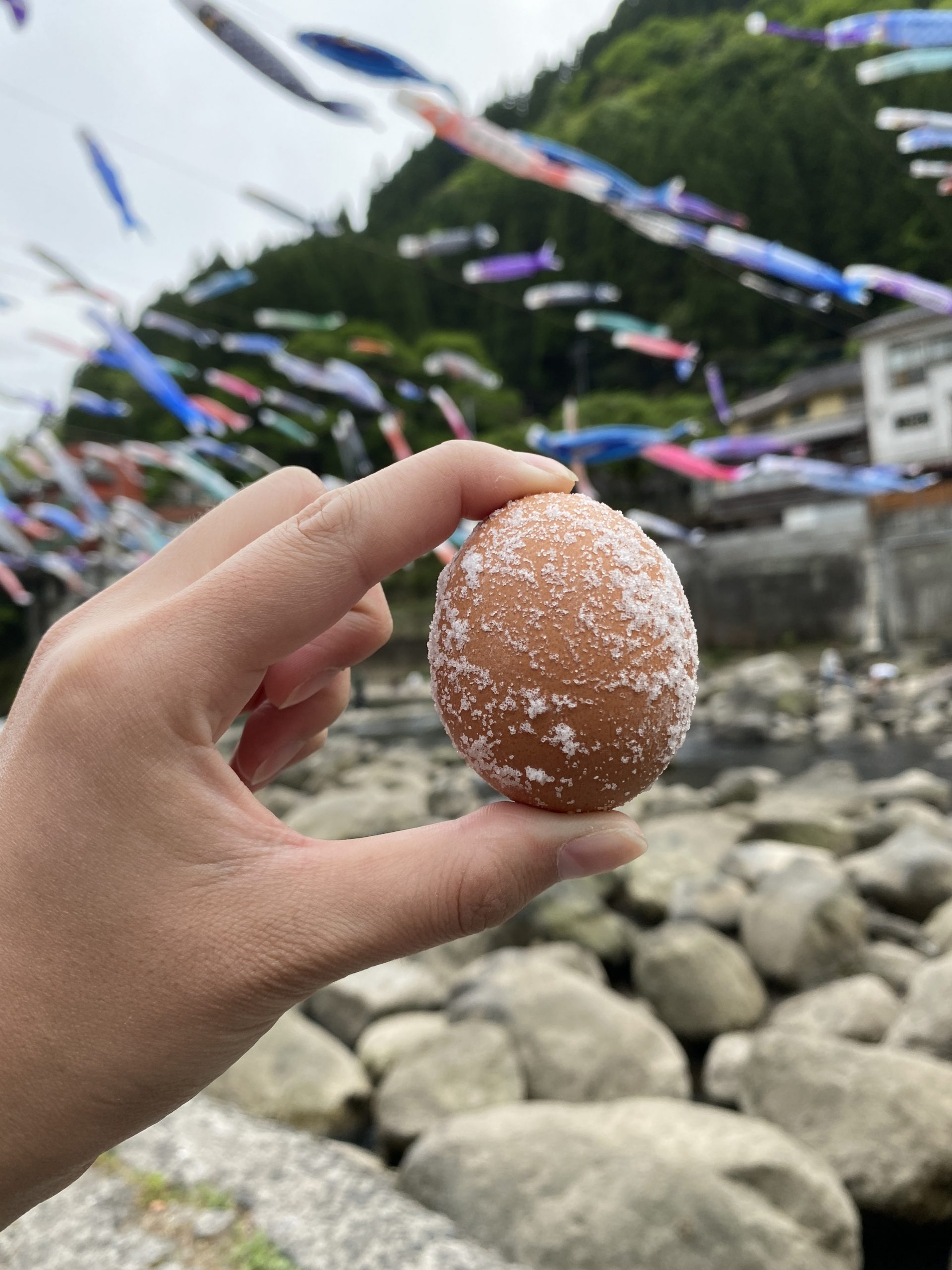 Tsuetate Onsen’s Koinobori Carp Festival – Maris Around the World