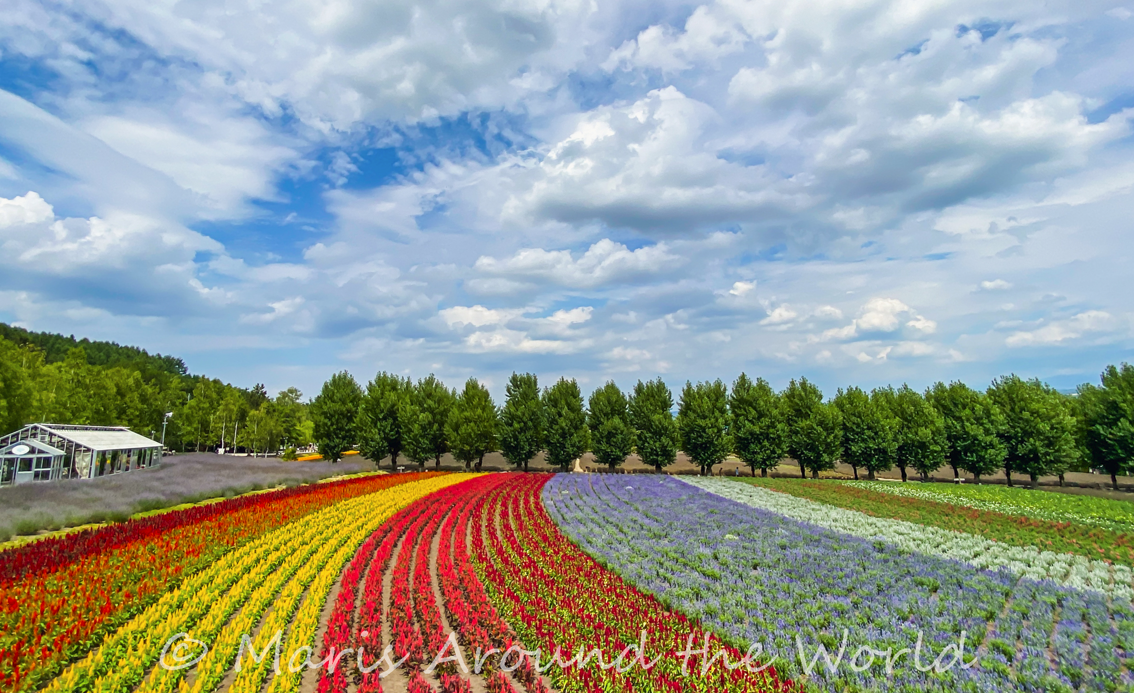Furano Cheese Factory in Hokkaido – Make Your Own Mascarpone Cheese ...