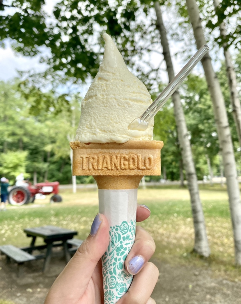 Furano Cheese Factory in Hokkaido – Make Your Own Mascarpone Cheese ...