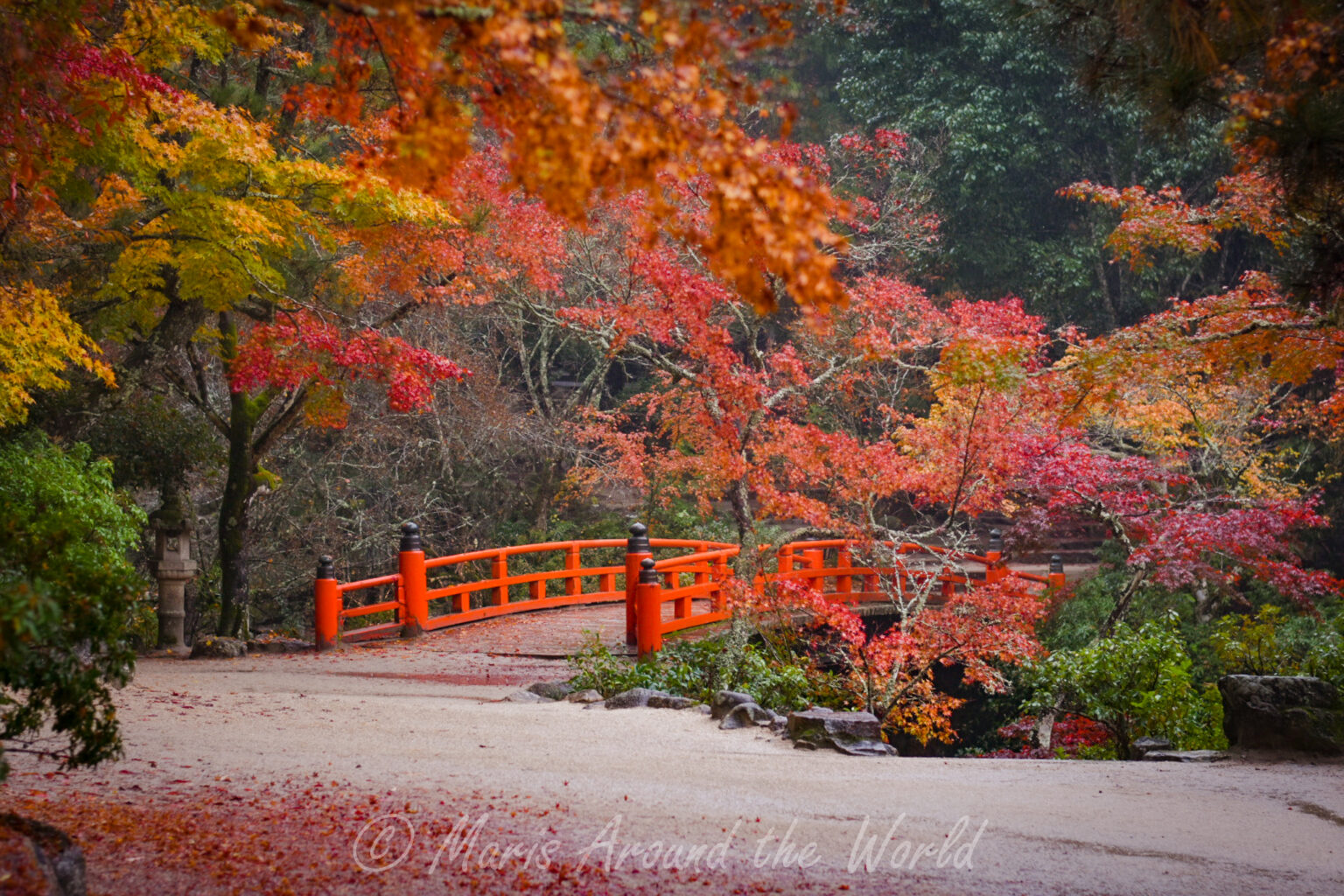 Miyajima Island’s Momijidani Park – An Amazing Place for Fall Foliage ...