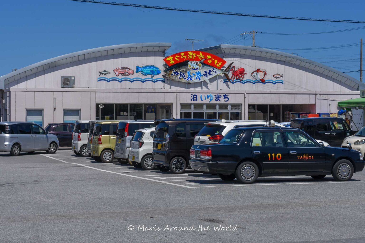 Zamami Island – Top 10+ Things to Do During Your Okinawa Trip – Maris ...