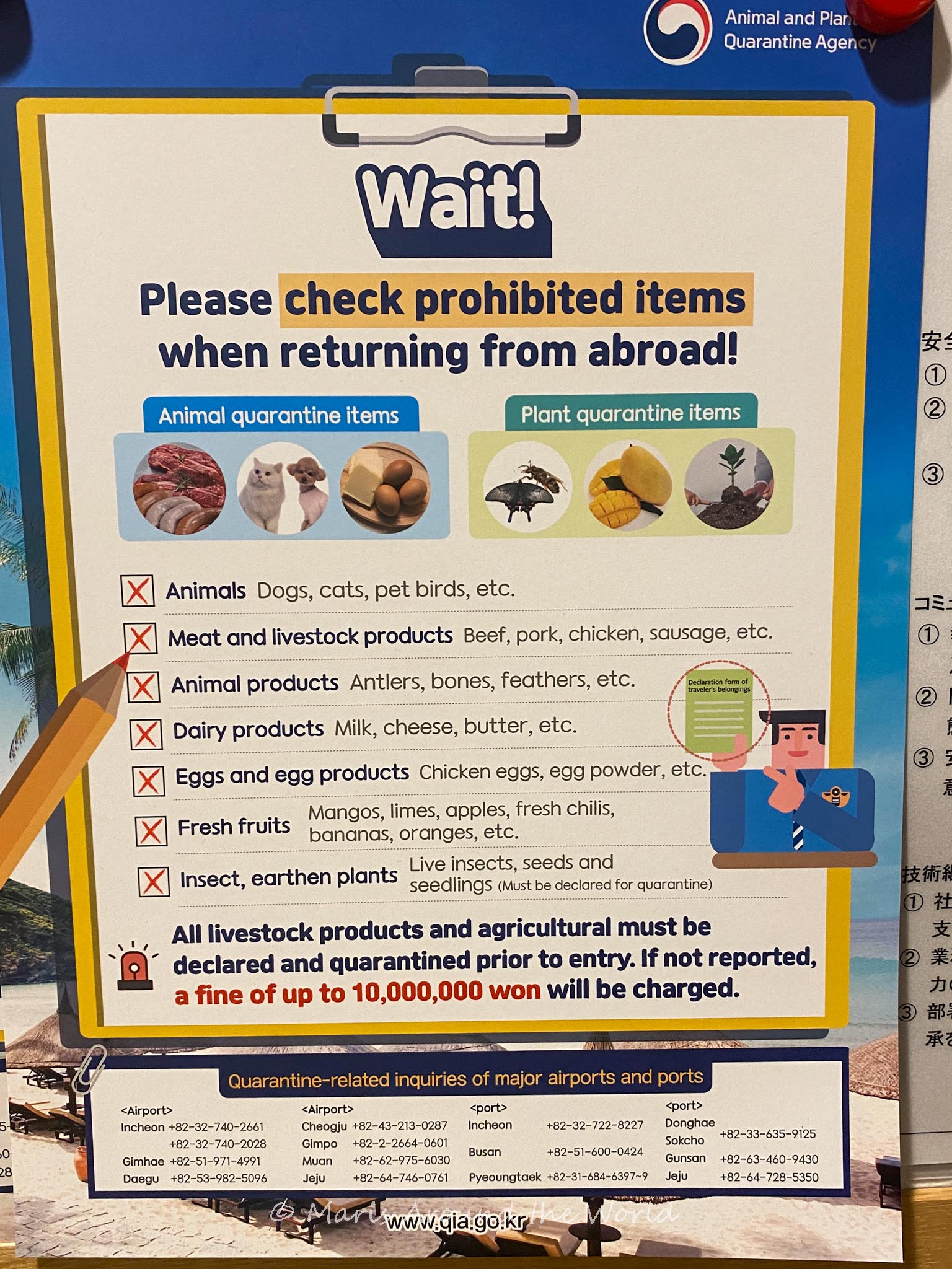 Ride the Queen Beetle Ferry: Travel Between Fukuoka, Japan and Busan ...