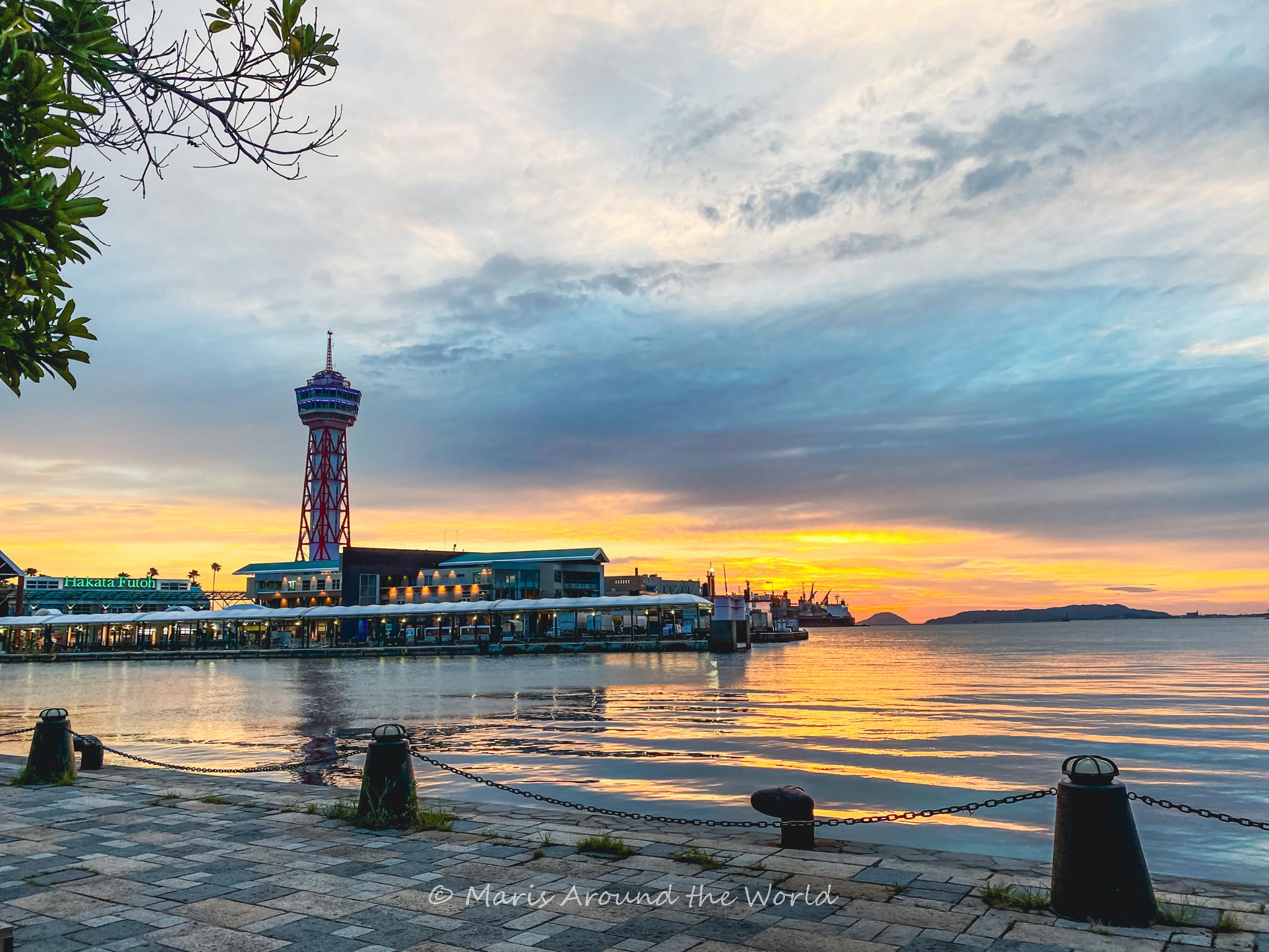 Ride the Queen Beetle Ferry: Travel Between Fukuoka, Japan and Busan ...