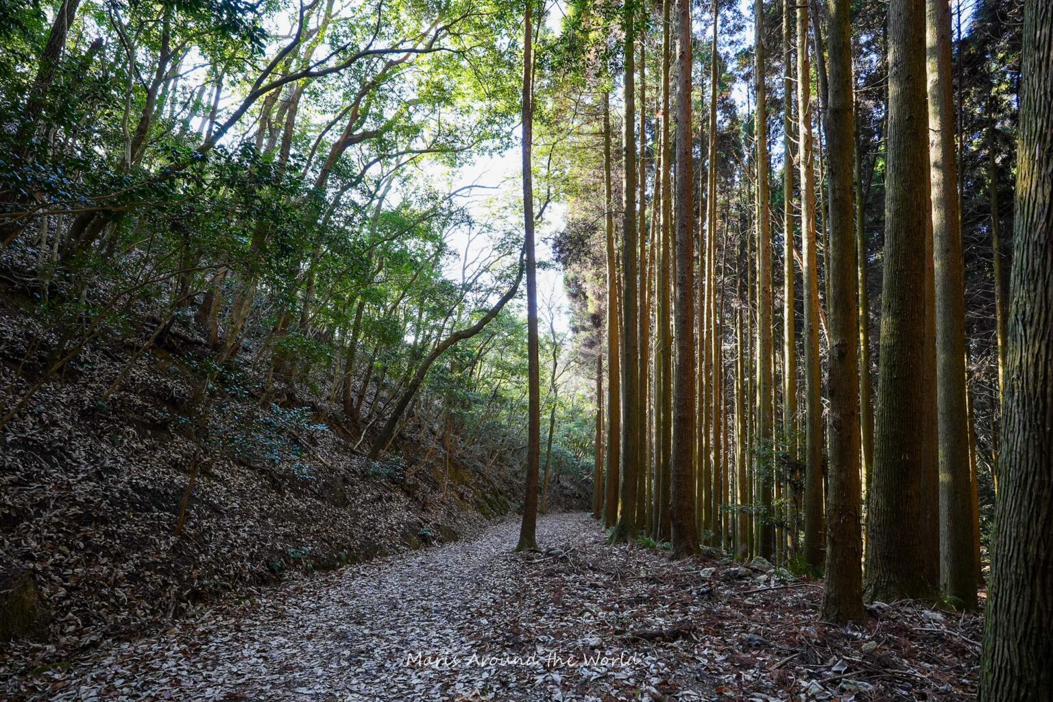 Exploring Tsushima – Japan’s Border Island – Maris Around the World