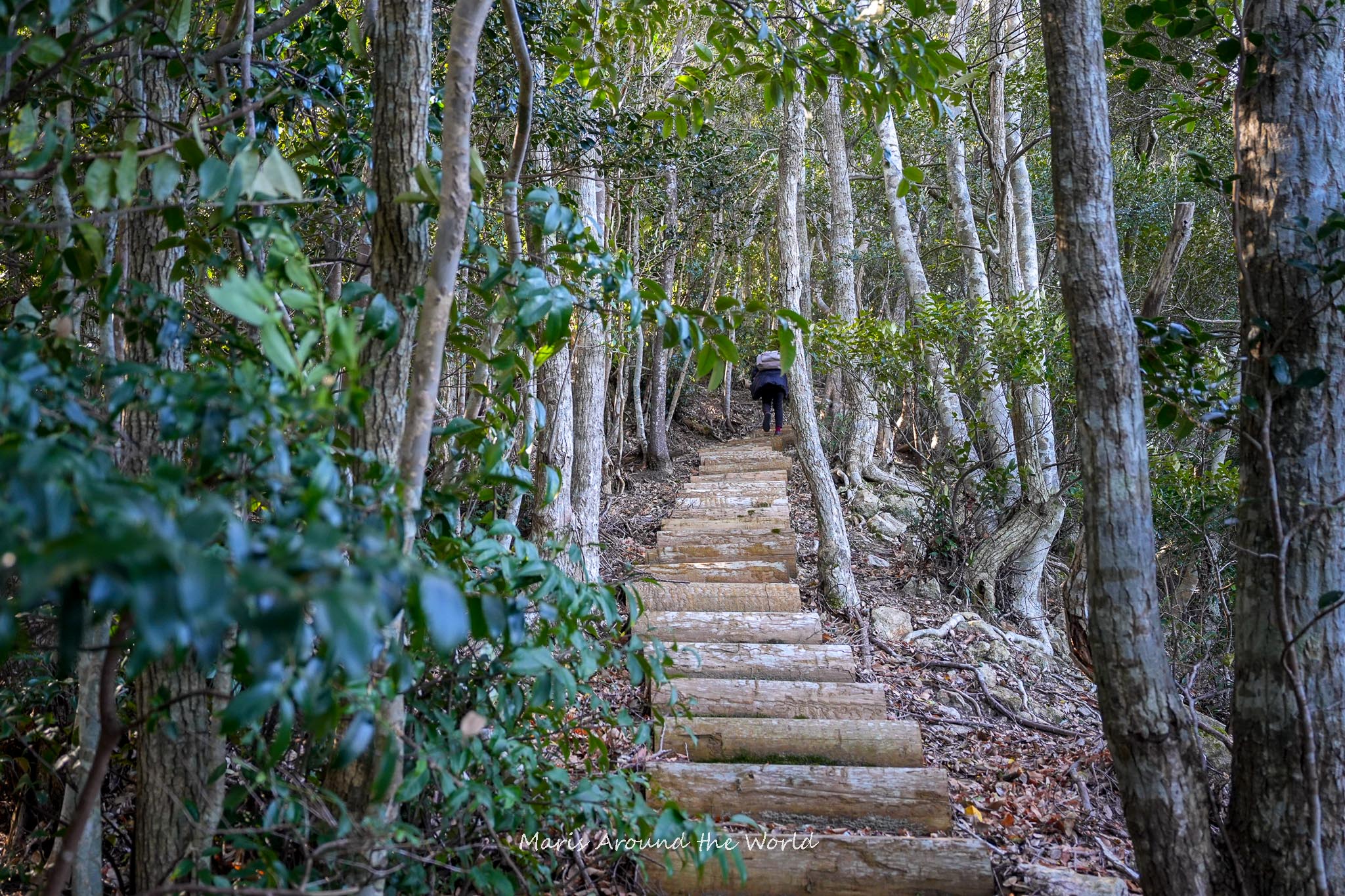 Exploring Tsushima – Japan’s Border Island – Maris Around the World