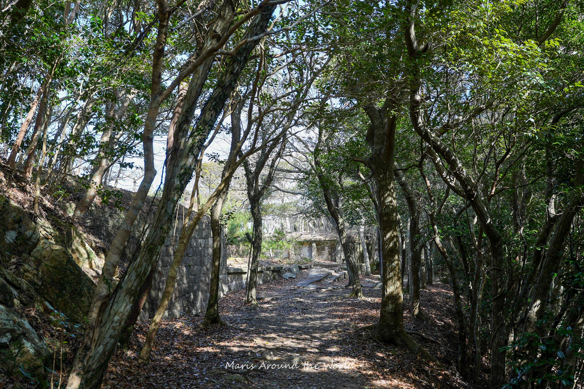 Exploring Tsushima – Japan’s Border Island – Maris Around the World